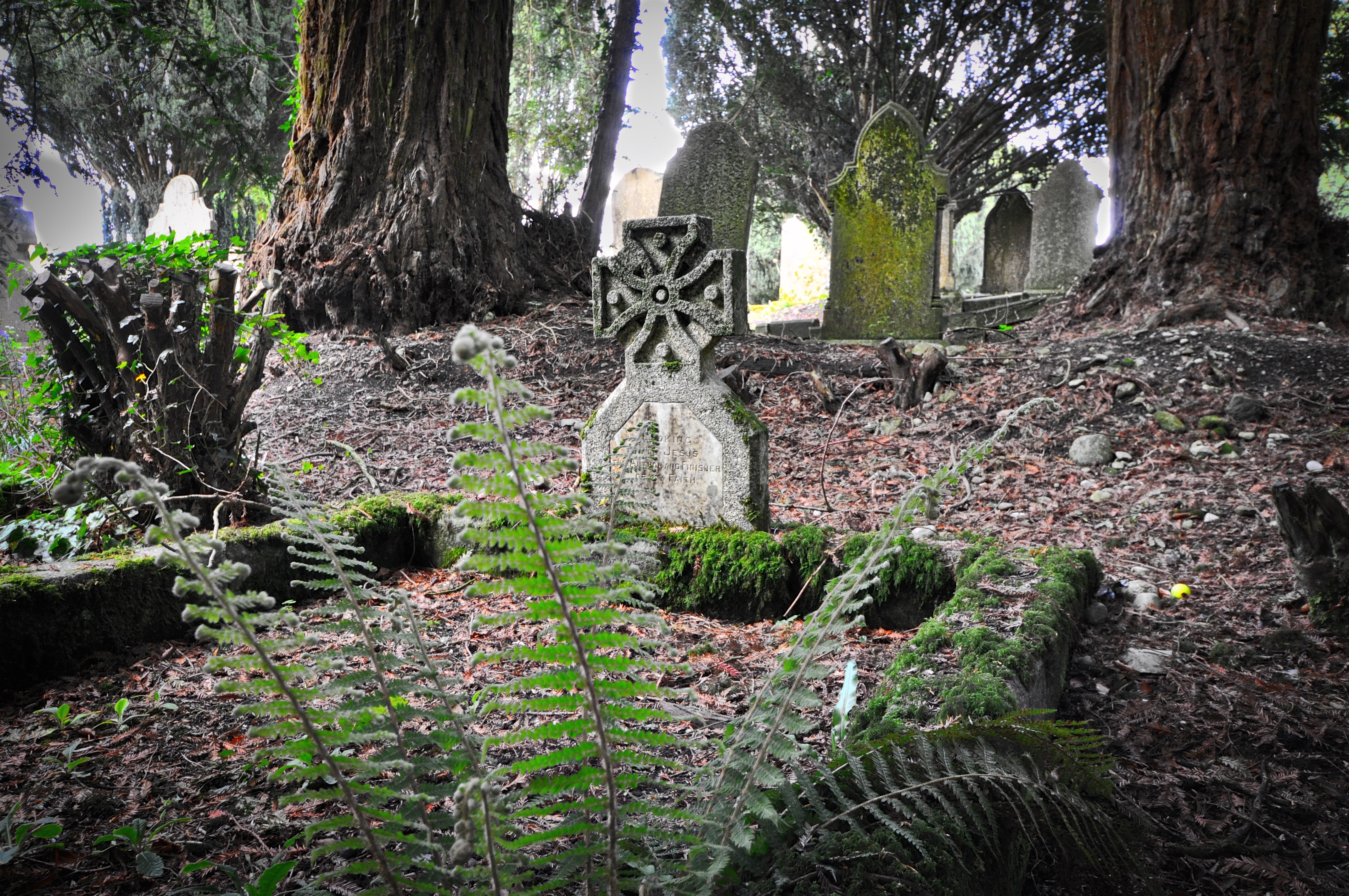 Dunleckney Parish Churchyard | Rothar Routes